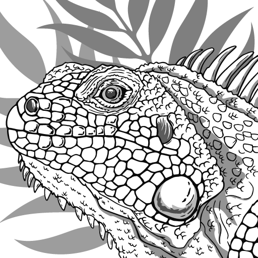 Recolor | Best of 2019 Collection