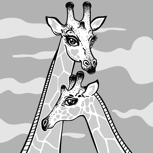 Recolor | Best of 2019 Collection